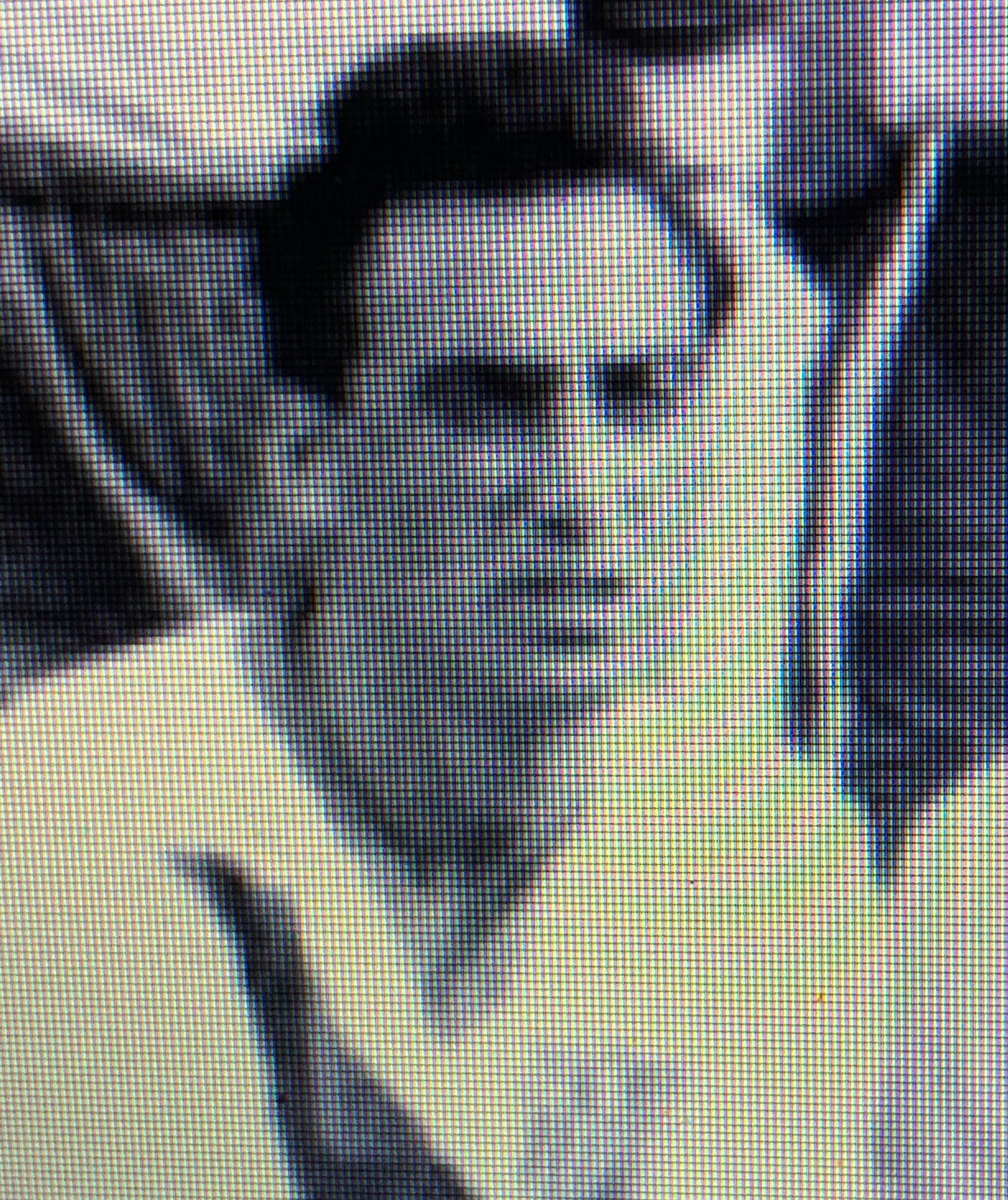Wallace, Frank "Pee Wee" 1975 - St. Louis Soccer Hall of Fame